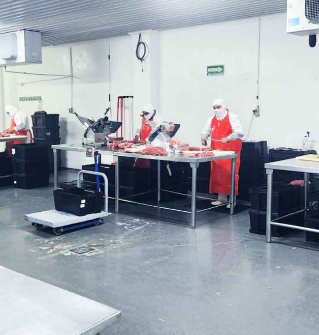 Nosotros – Proveedora H y H, S.A. de C.V.